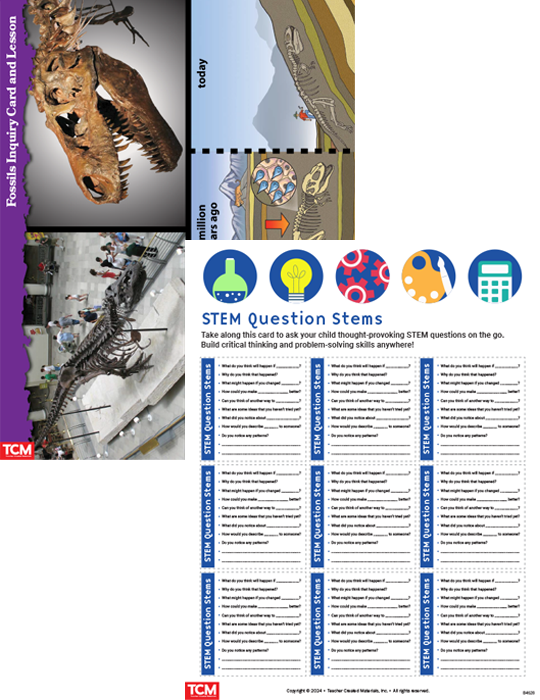 Fossils Inquiry Card and Lesson | Download | TCM Admin